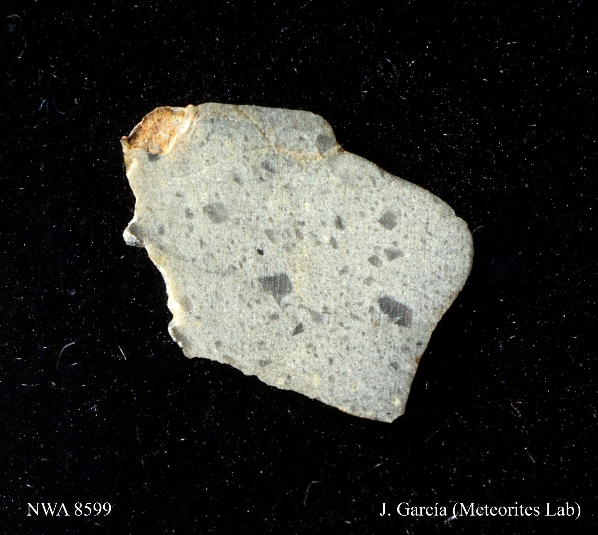 lunar meteorite types