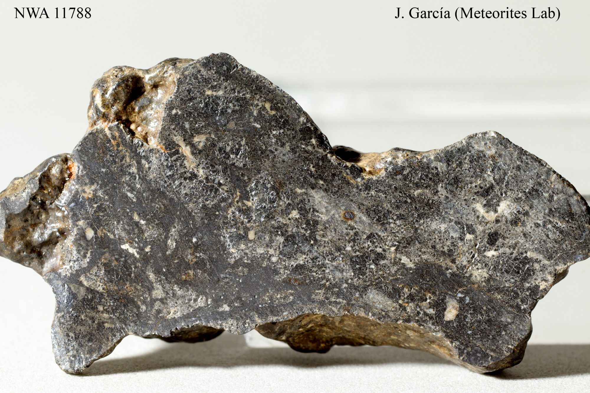 lunar meteorite types